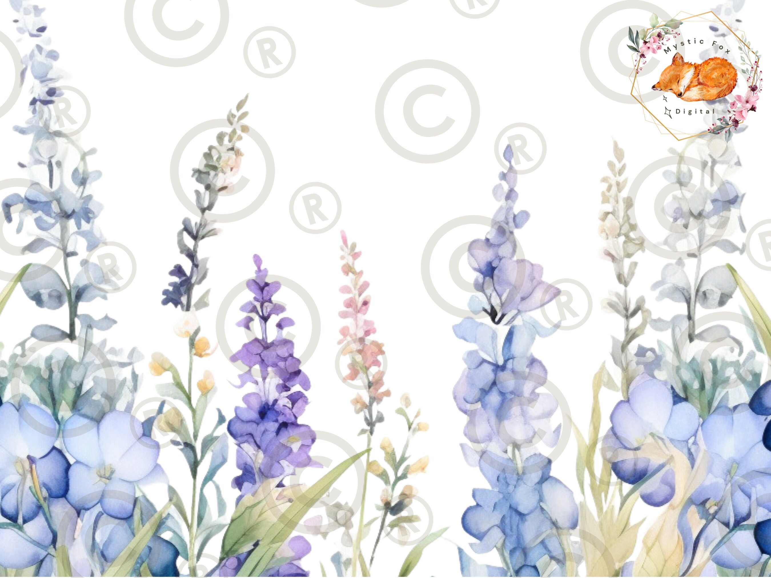 Birth Month Flowers Borders and Wreaths, Birthflower Clipart, Birth ...
