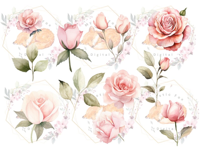 Watercolor Blush Rose Clipart, Pink Rose Clipart, Pink Rose Png ...