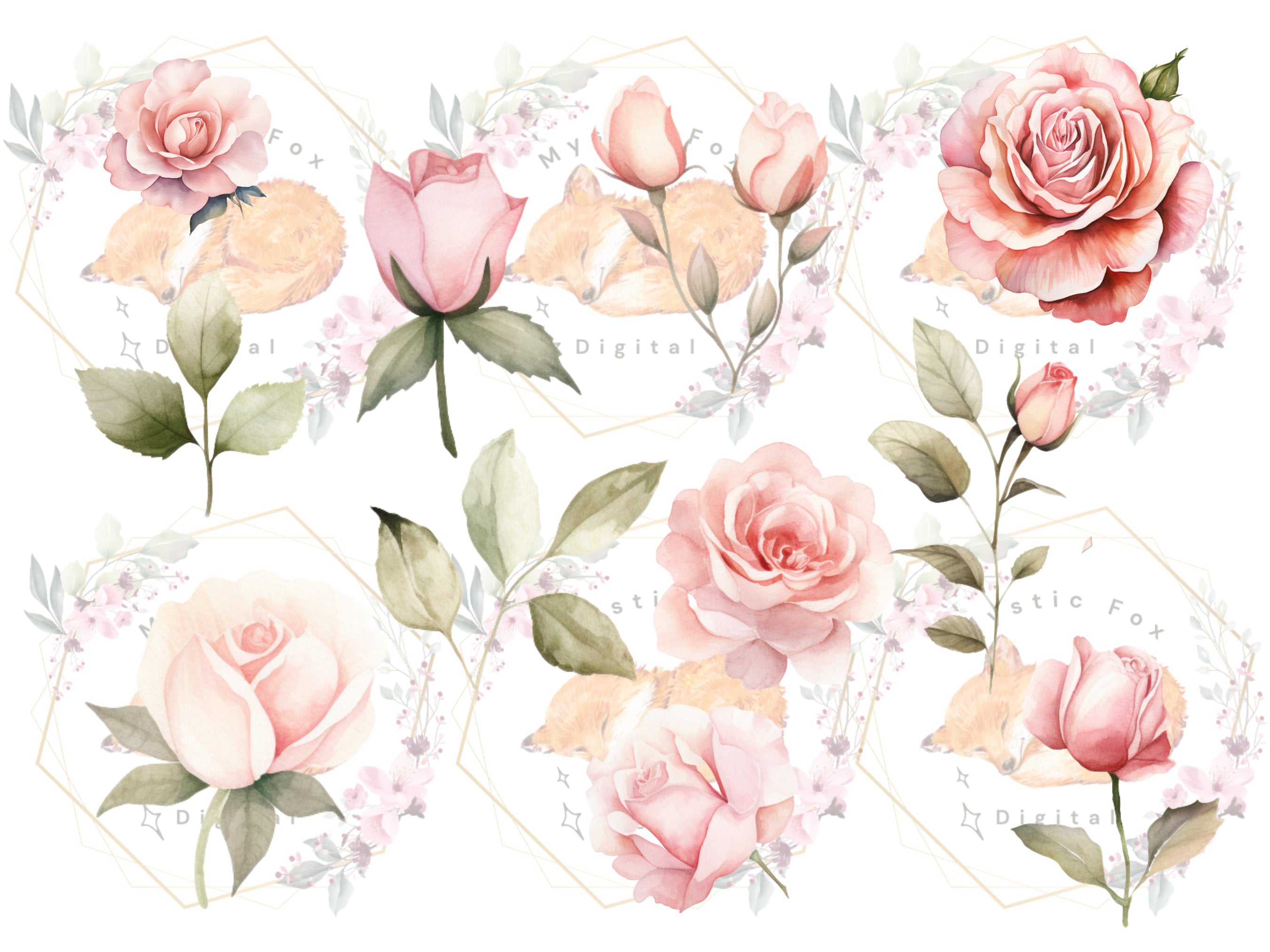 Watercolor Blush Rose Clipart, Pink Rose Clipart, Pink Rose Png ...