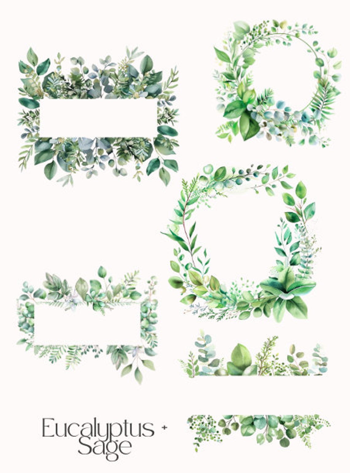 Greenery Frames Clipart Eucalyptus Wreath, Floral Border Clipart, Sage ...