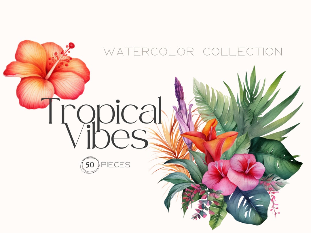 Tropical Watercolor Clipart | Tropical Art, Floral Clipart, Water ...