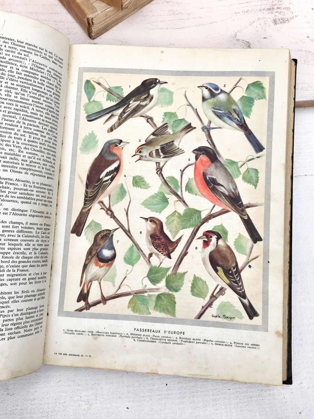 Old Larousse BOOK of Animals Second Volume Illustrated in Colors ...