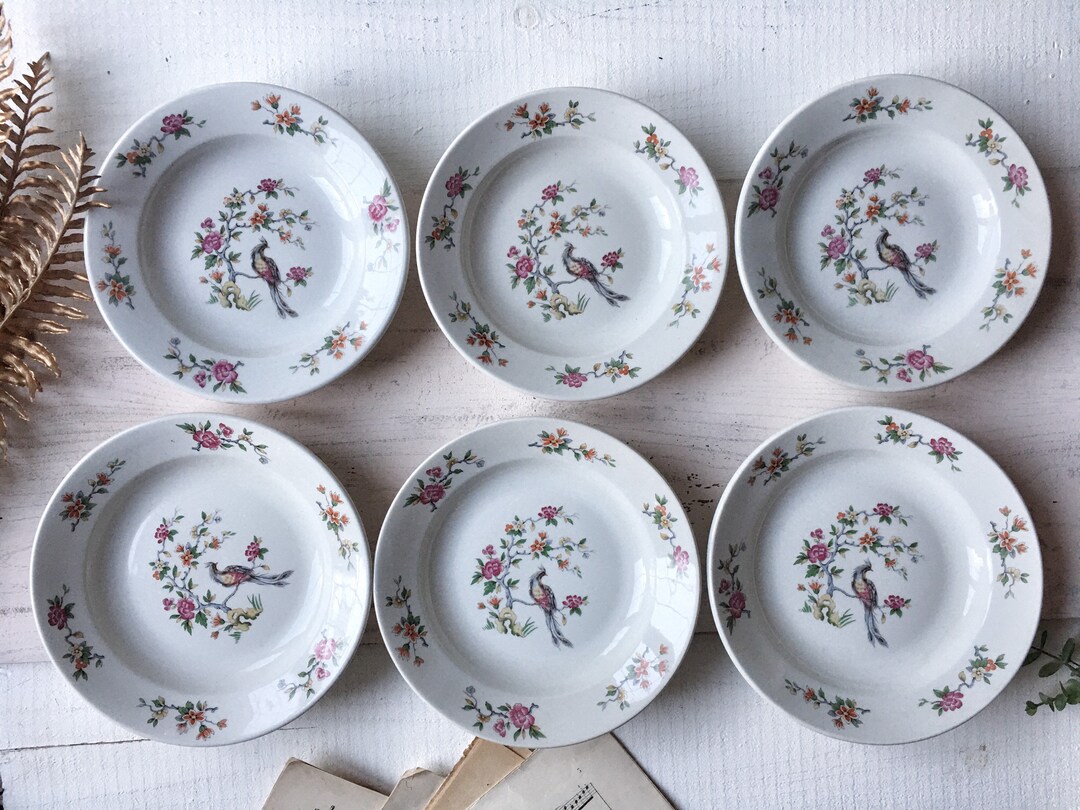 Old Hollow Plates PILLIVUYT FRANCE, 6 Hollow Plates, Shabby Chic ...