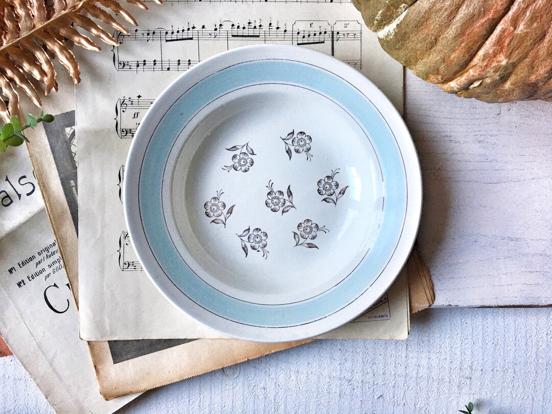 Old French Soup Plate Flowers Sarreguemines Digoin Earthenware France ...