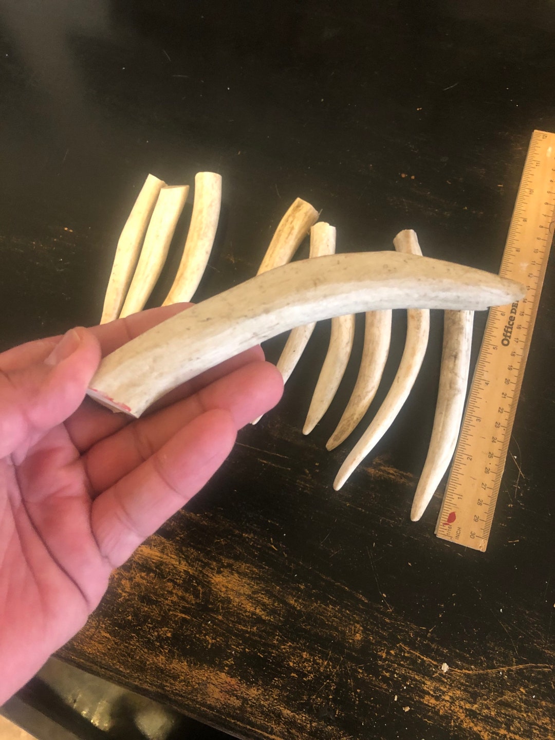 Deer/elk Antler Chews, Tips,tines, Pieces, for Pets,crafts, Jewelry Etc ...