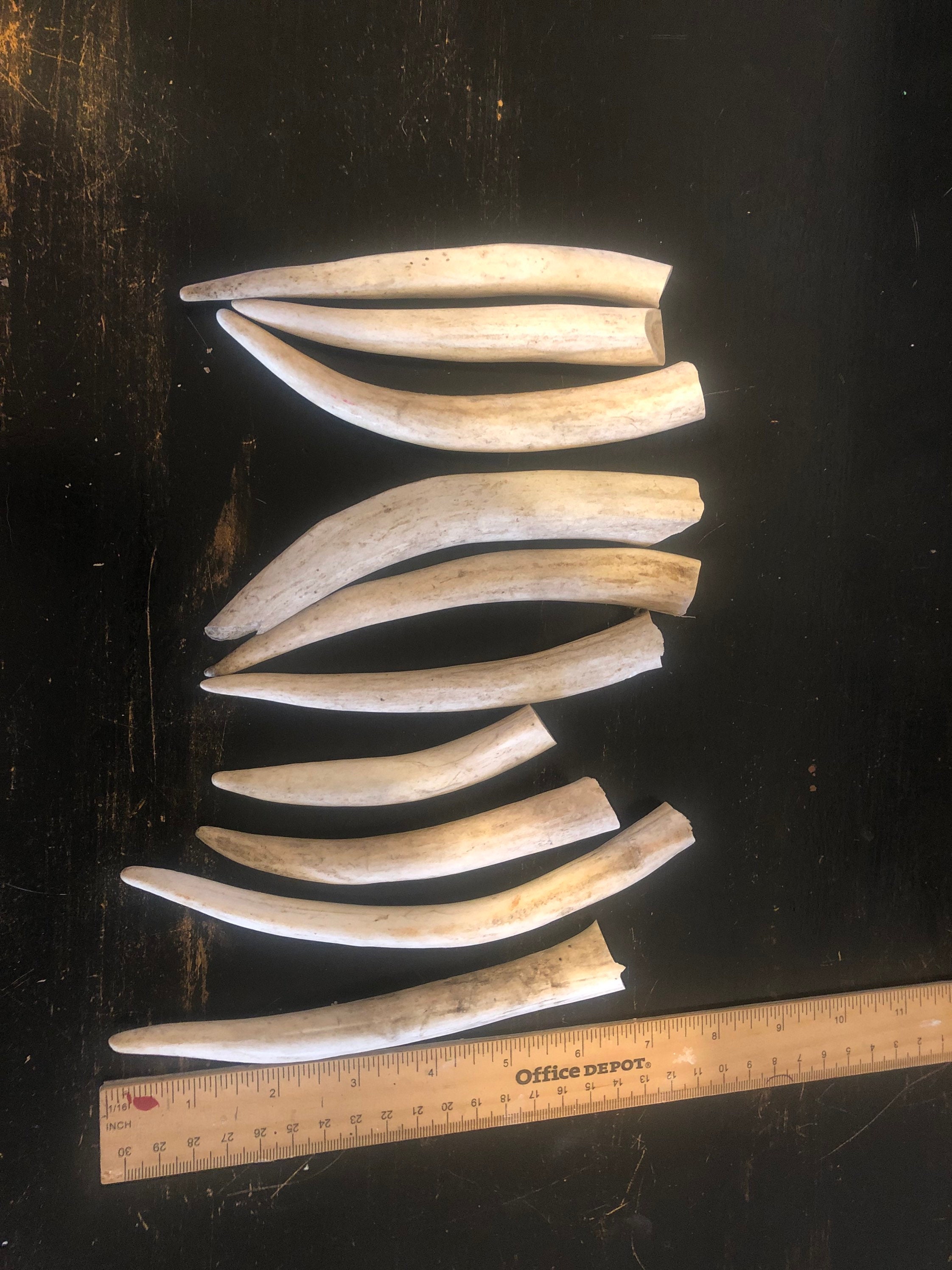 Deer/elk Antler Chews, Tips,tines, Pieces, for Pets,crafts, Jewelry Etc ...