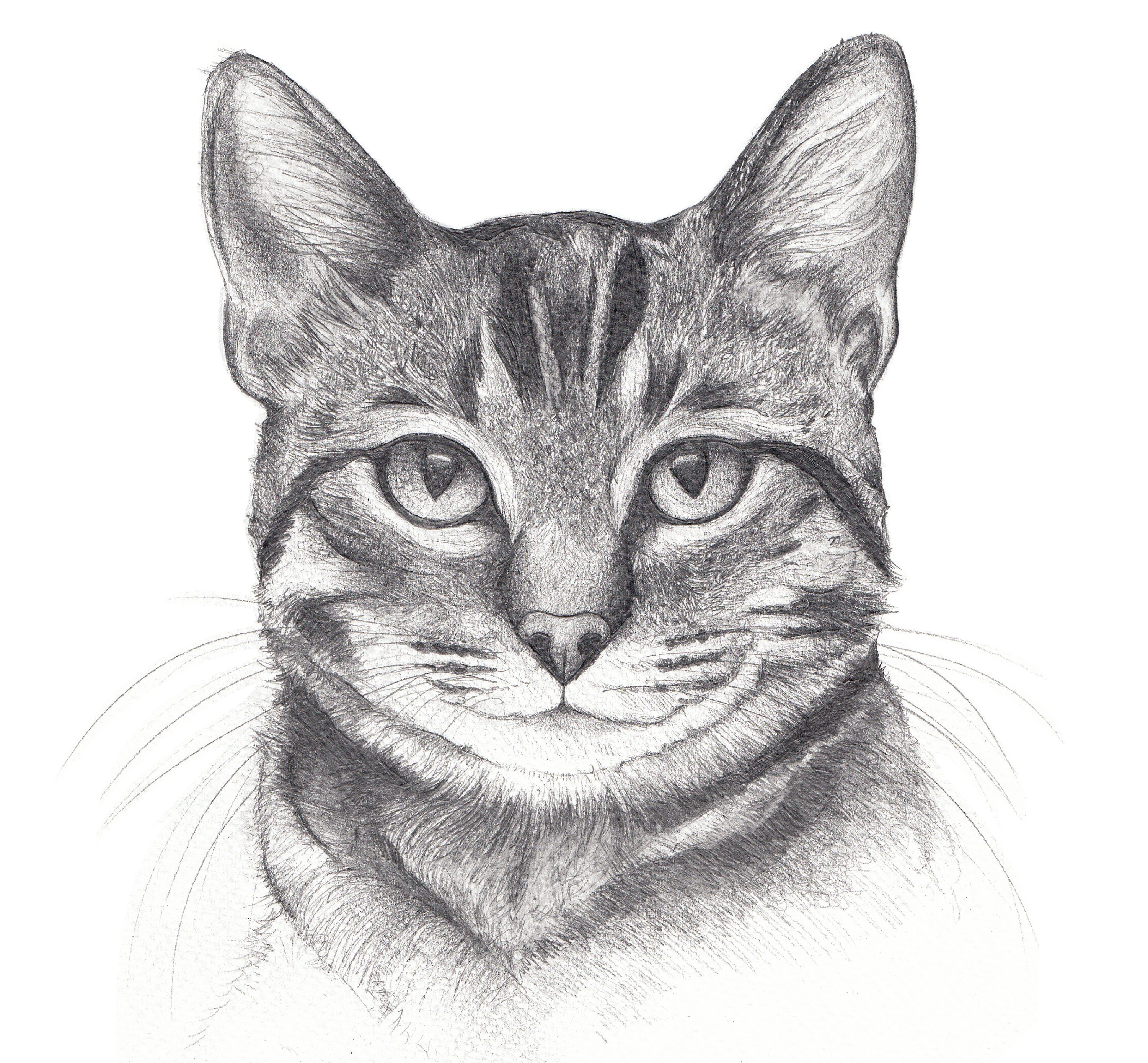 Custom Pencil Portrait Handmade Pencil Drawing From Your Photo
