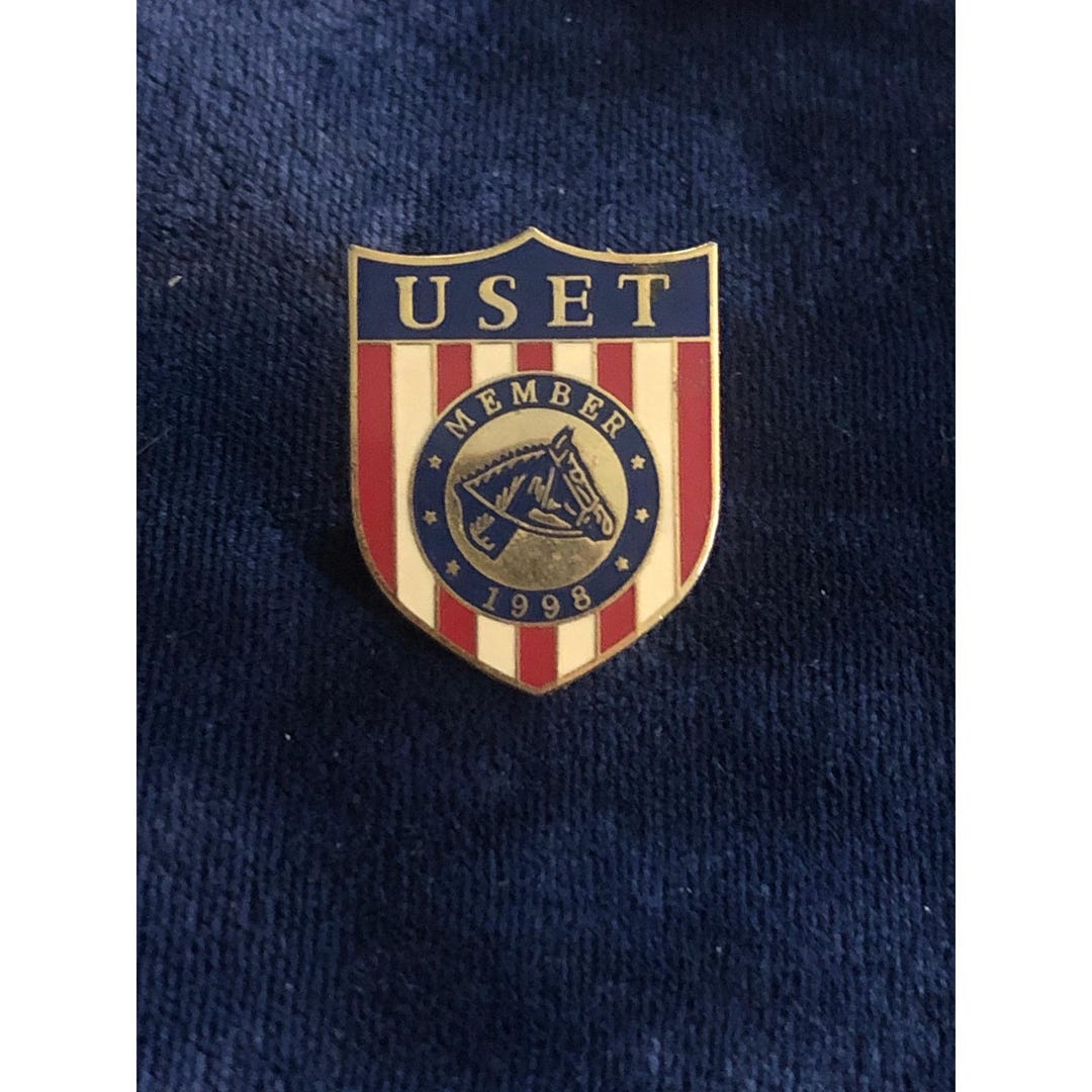 USET Member 1998 Shield Pin Red/white/blue Enamel Gold Tone Backing ...