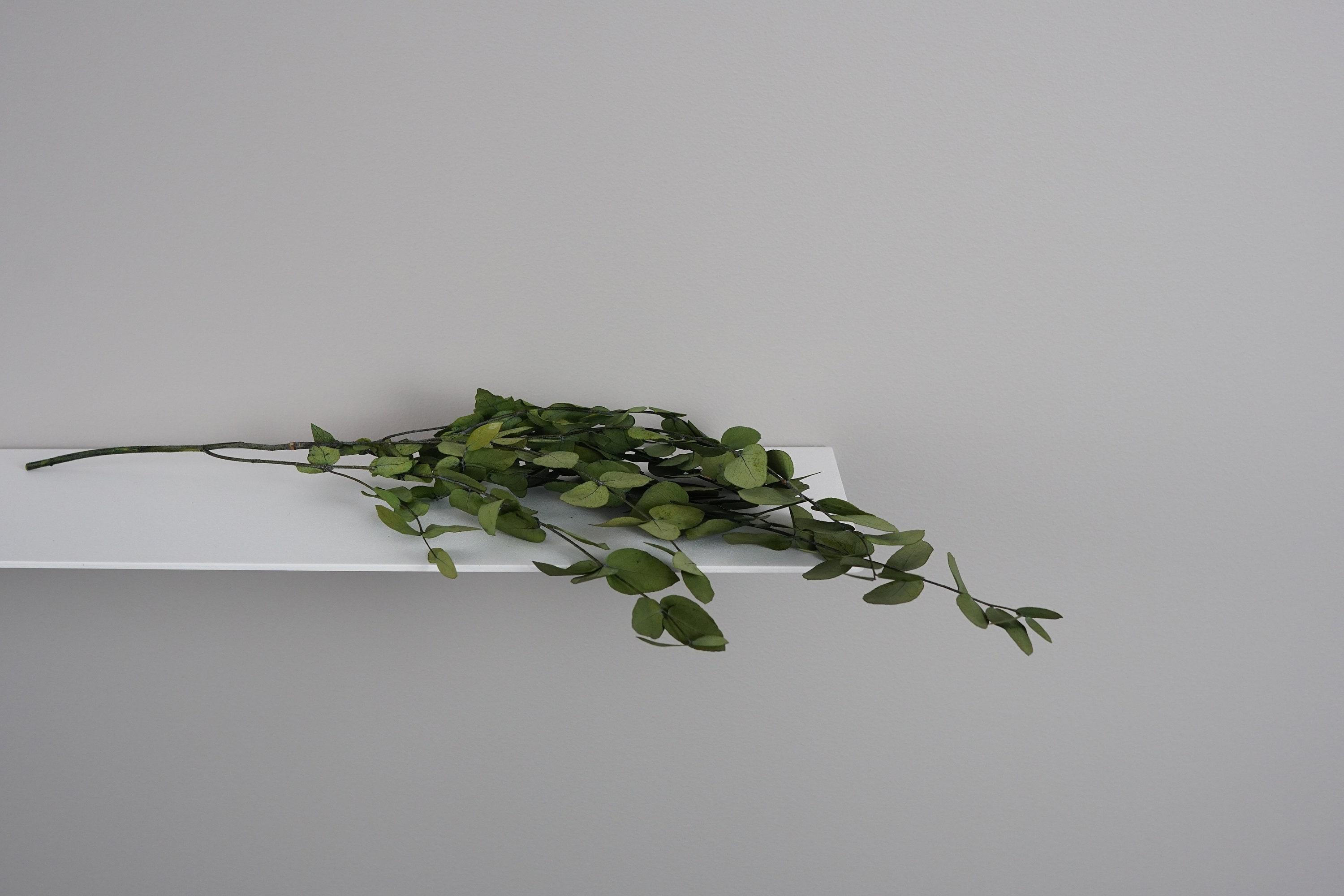 Venture Designs Flat Ledge White - Etsy