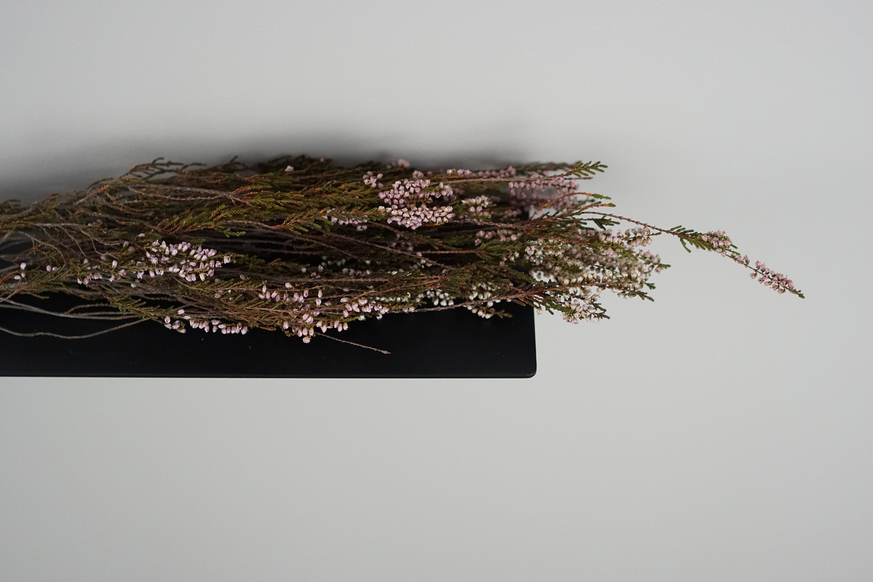 Venture Designs Flat Ledge Black | Etsy