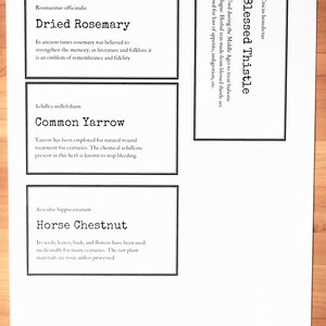 Herb Digital Downloads, Plant Labels, Herb Labels, Jar Labels, Digital ...