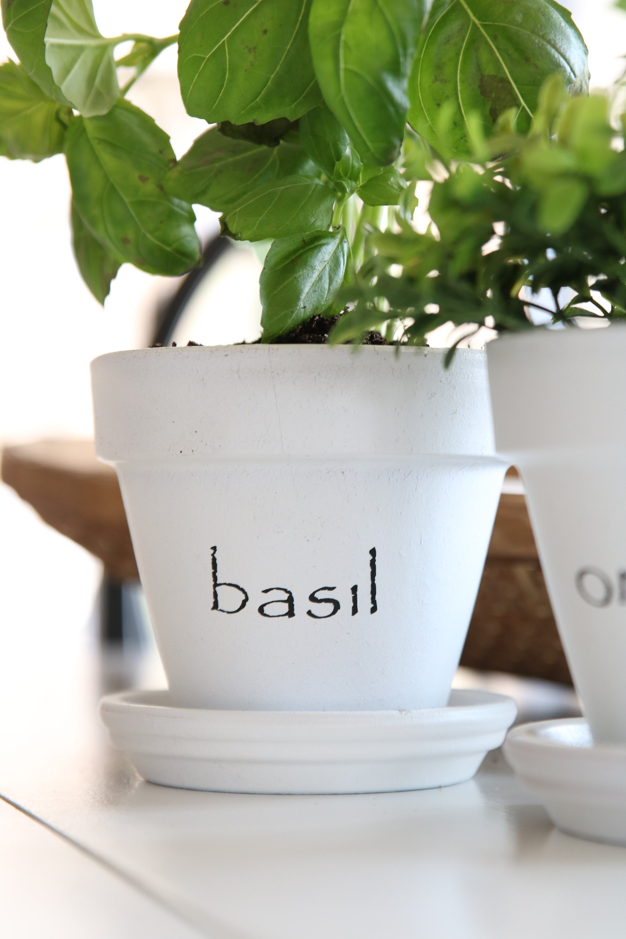 Herb Decals Plant Labels Vinyl Decals Farmhouse Decal - Etsy UK