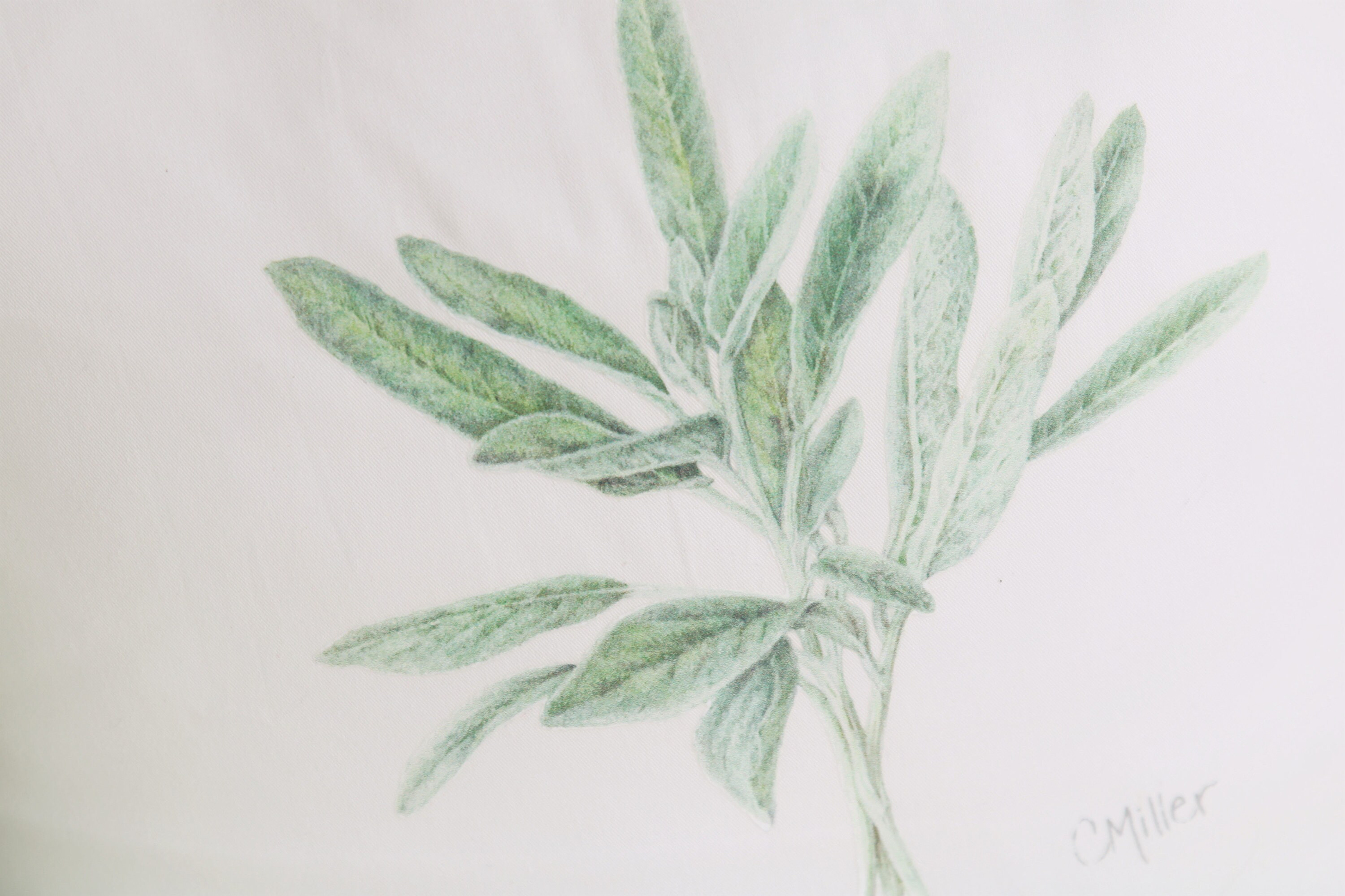 Sage Pillow Cover 18x 18 Pillow Cover Herb - Etsy
