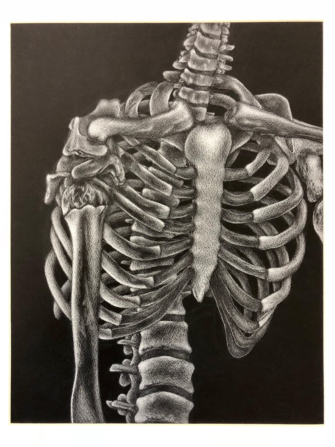 Vitals - Skeleton Drawing - Etsy