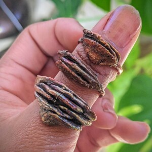 Shelf Mushroom Stackable Electroformed Copper Rings Custom-made Fungi ...