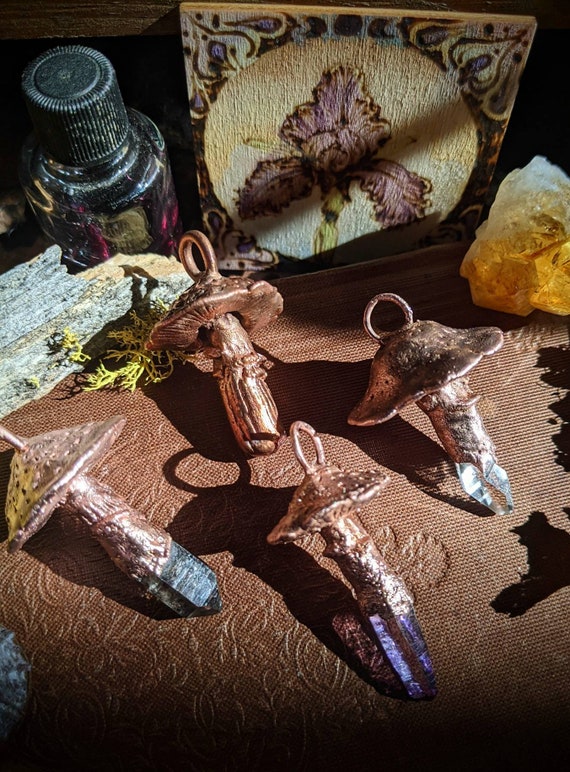 Parva Boletus Magisteriis Mini Custom Mycomasterpieces Custom - Etsy