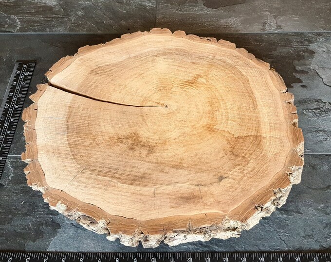 Large Wood Slabs, Live Edge Slab, Unfinished Wood Slab Round, Slice of ...