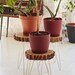 Modern Plant Stool, Modern Plant Stand, Three Leg Stool, Indoor Plant ...