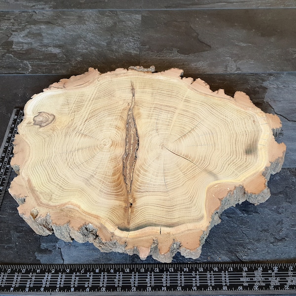 Wood Slabs - Etsy