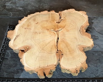 Large Wood Slabs, Live Edge Slab, Unfinished Wood Slab Round, Slice of ...