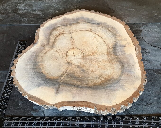 Large Wood Slabs, Live Edge Slab, Unfinished Wood Slab Round, Slice of ...