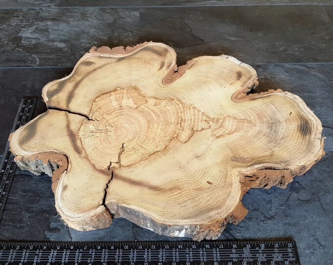 Large Wood Slabs, Live Edge Slab, Unfinished Wood Slab Round, Slice of ...