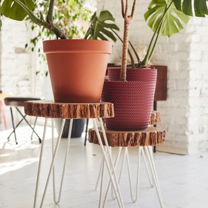 Modern Plant Stool, Modern Plant Stand, Three Leg Stool, Indoor Plant ...
