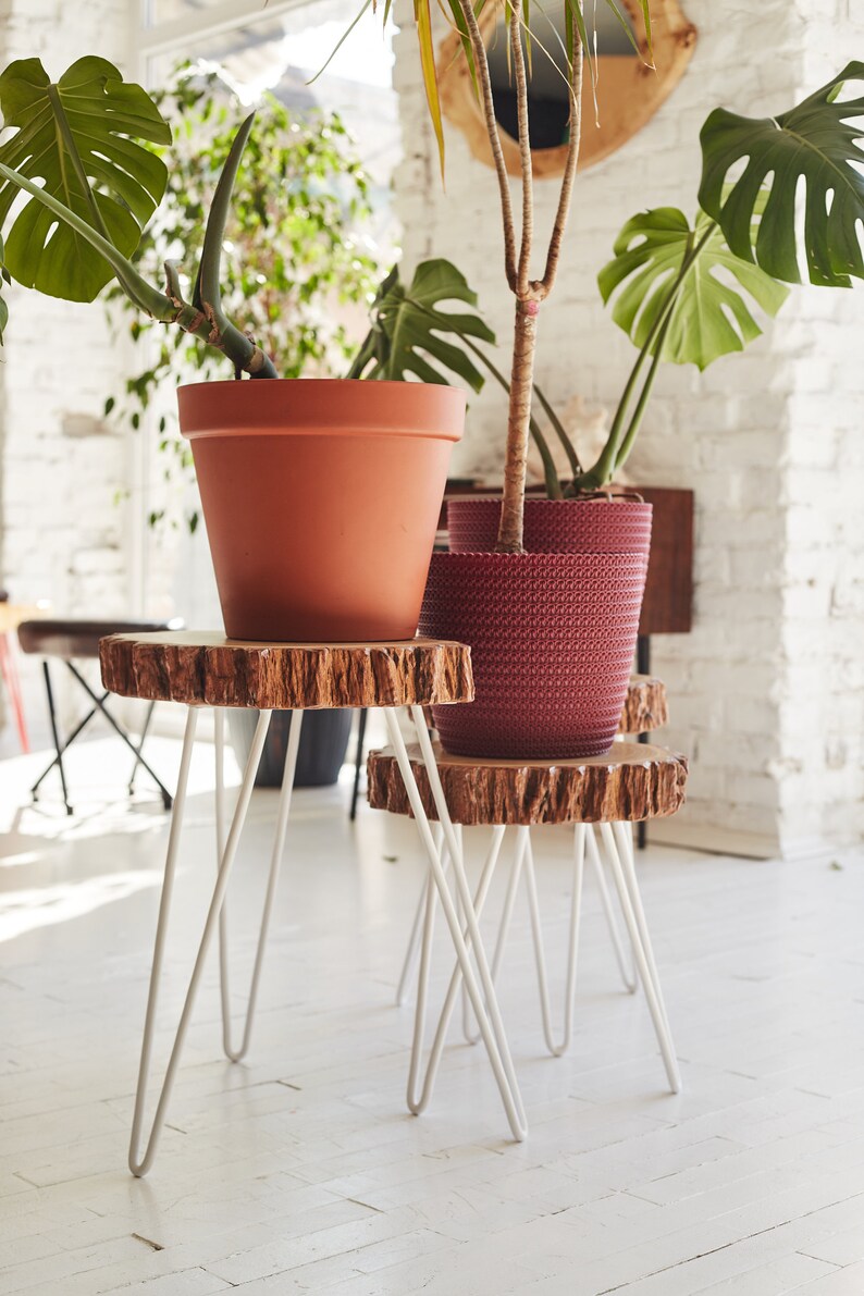 Modern Plant Stool, Modern Plant Stand, Three Leg Stool, Indoor Plant ...