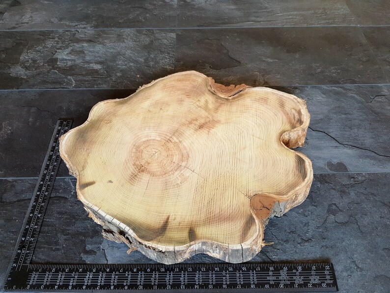 Large Wood Slabs Live Edge Slab Unfinished Wood Slab Round | Etsy