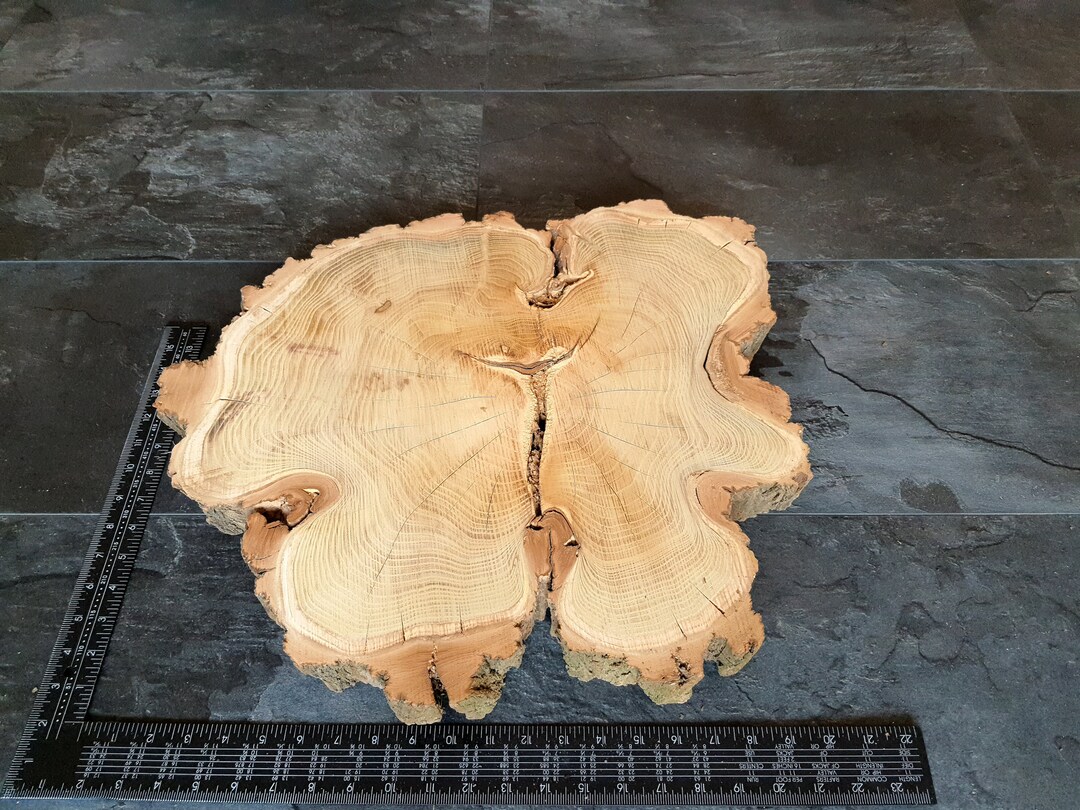 Large Wood Slabs, Live Edge Slab, Unfinished Wood Slab Round, Slice of ...