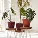 Modern Plant Stool, Modern Plant Stand, Three Leg Stool, Indoor Plant ...