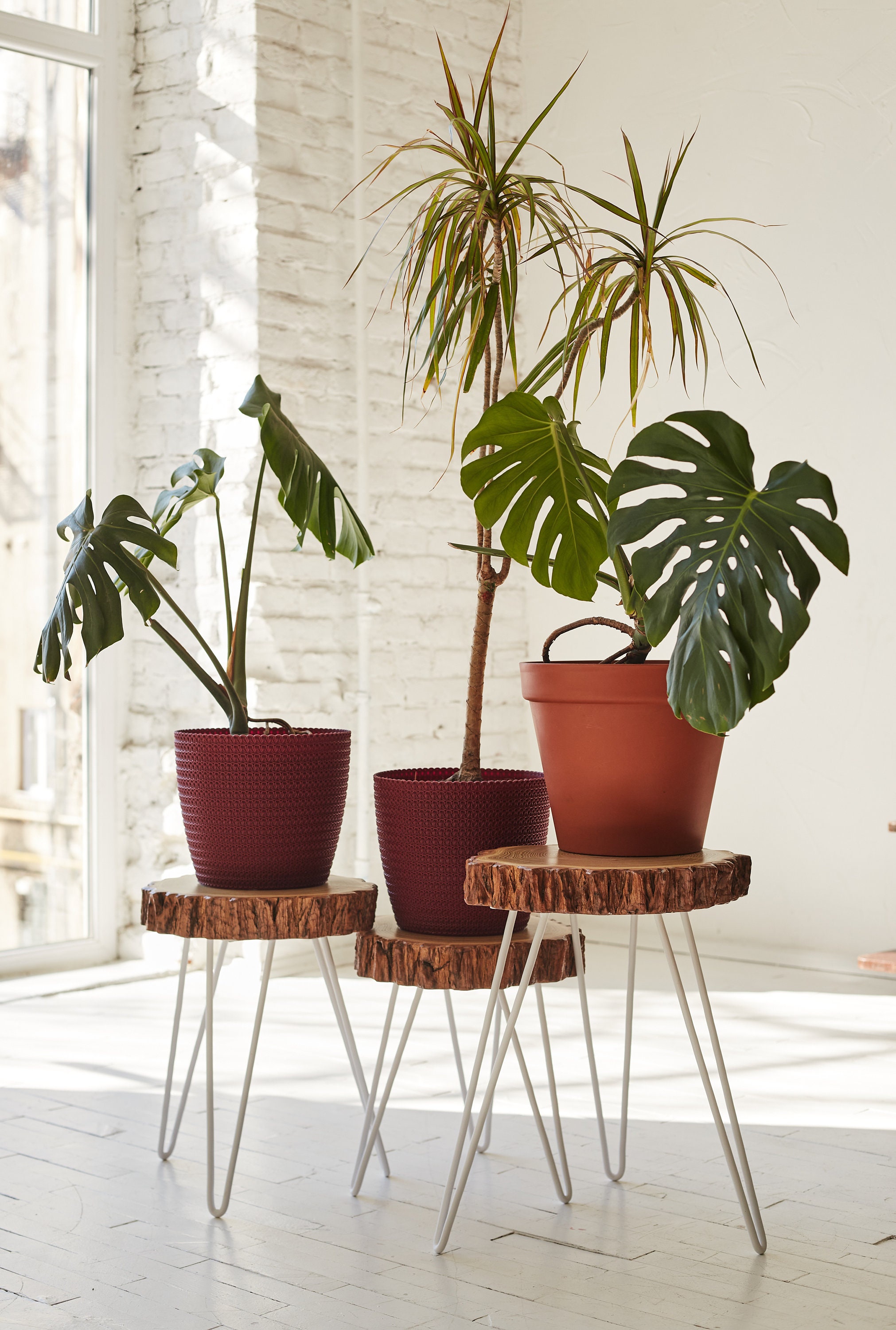 Modern Plant Stool, Modern Plant Stand, Three Leg Stool, Indoor Plant ...