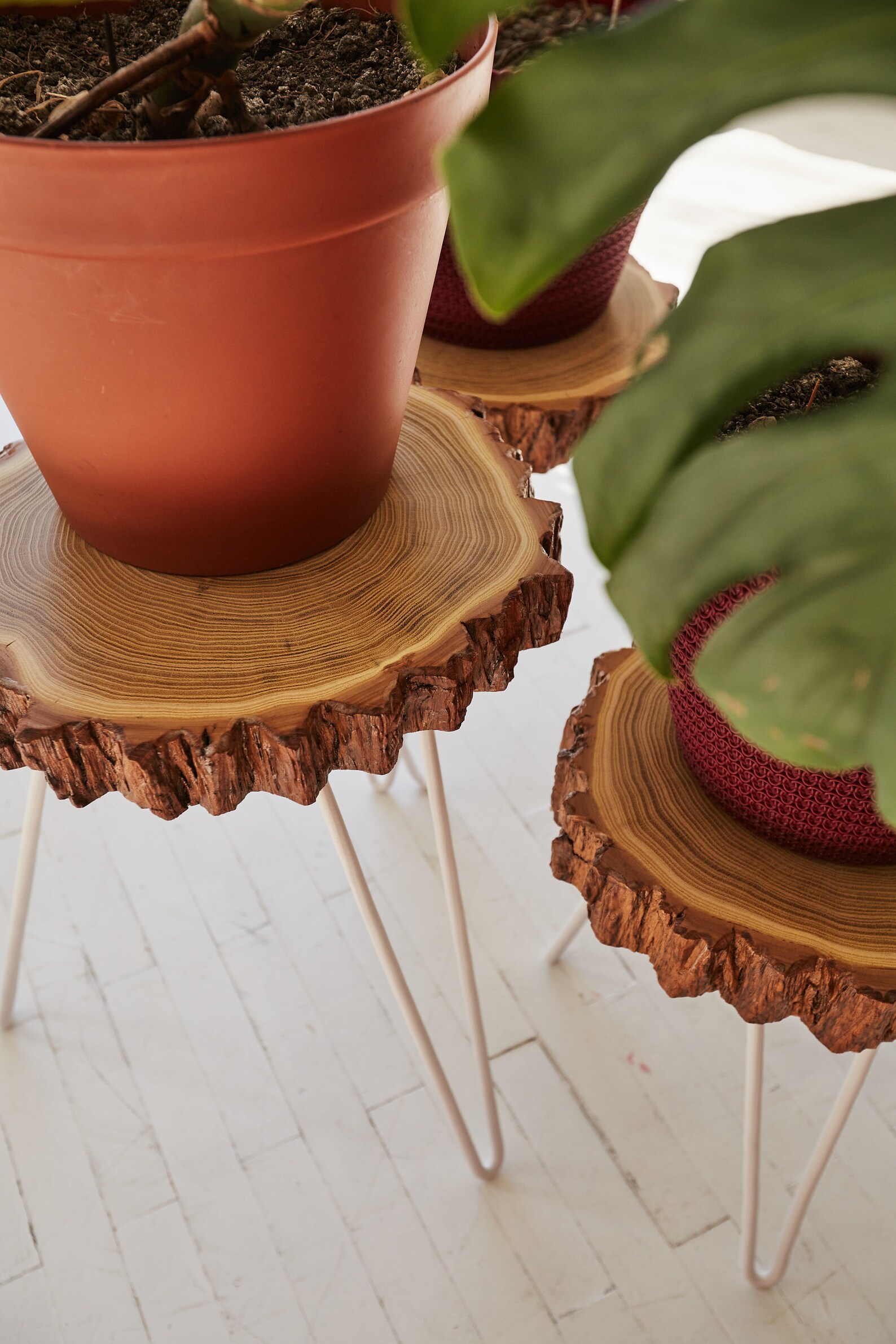 Modern Plant Stool, Modern Plant Stand, Three Leg Stool, Indoor Plant ...