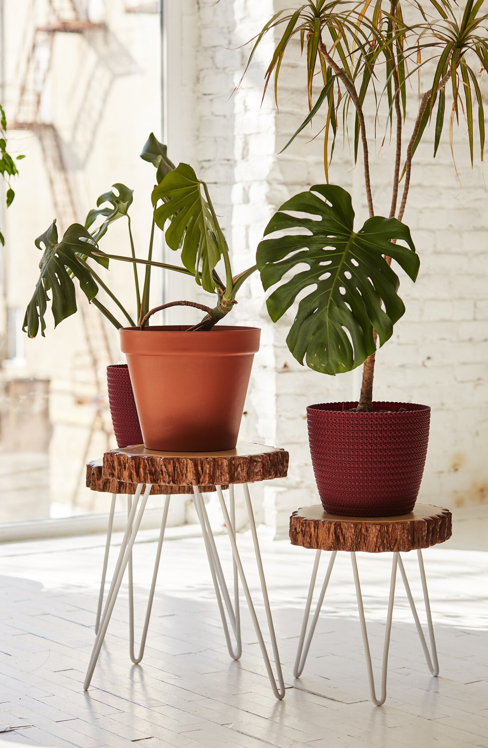 Modern Plant Stool, Modern Plant Stand, Three Leg Stool, Indoor Plant ...