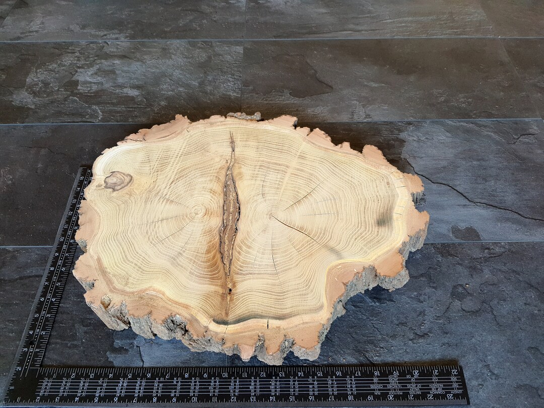 Large Wood Slabs, Live Edge Slab, Unfinished Wood Slab Round, Slice of ...