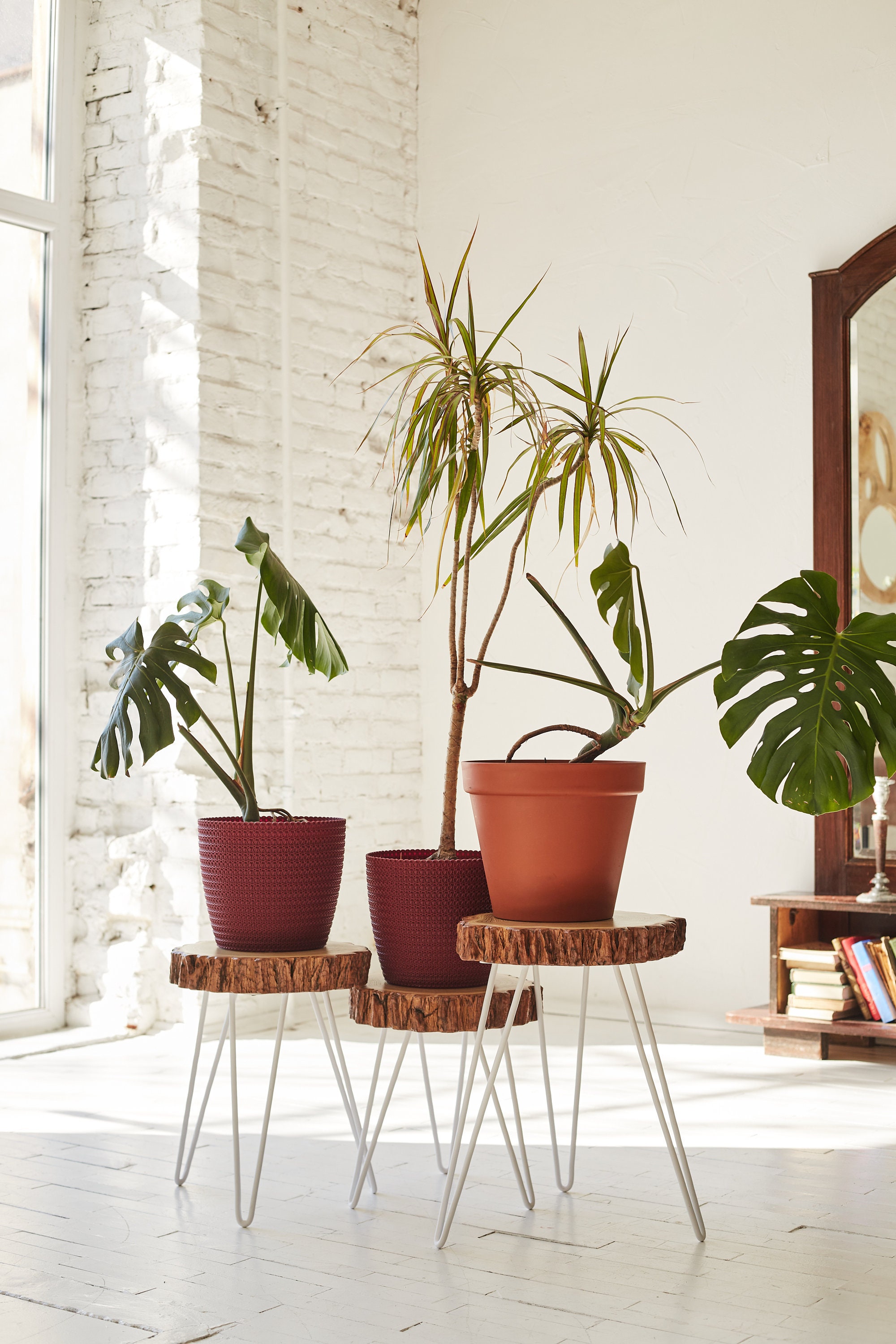 Modern Plant Stool, Modern Plant Stand, Three Leg Stool, Indoor Plant ...