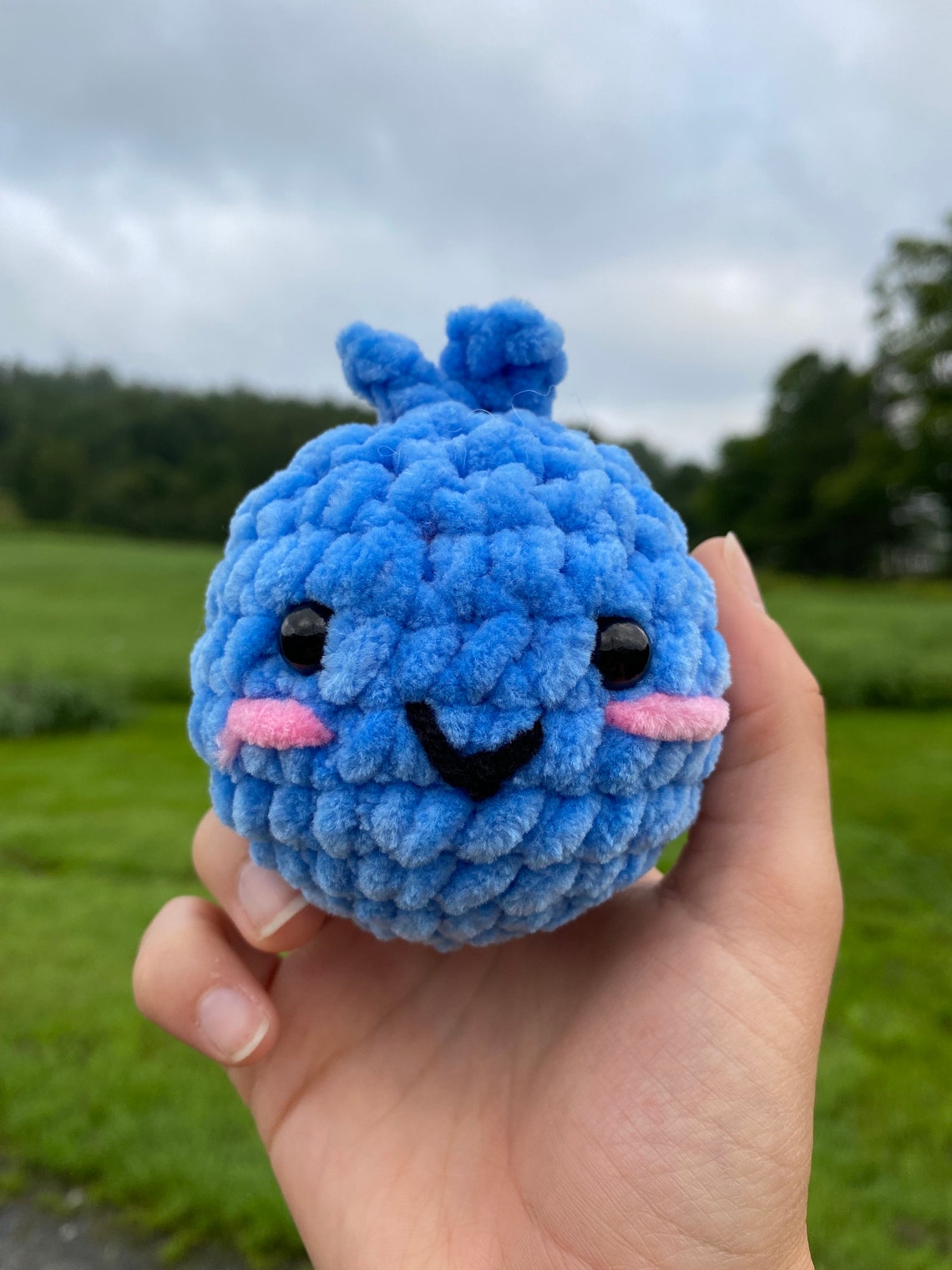 1 Blueberry Toy, Food Toys, Fruit, Bedroom Decor, Play Kitchen Foods ...