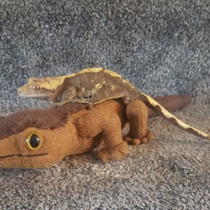 Sewing PDF Pattern Crested Gecko Plush (download) - Etsy