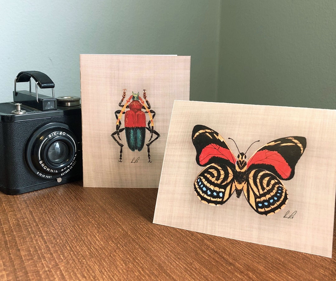 Curio Insects Note Cards, Linen - Downloadable - Etsy