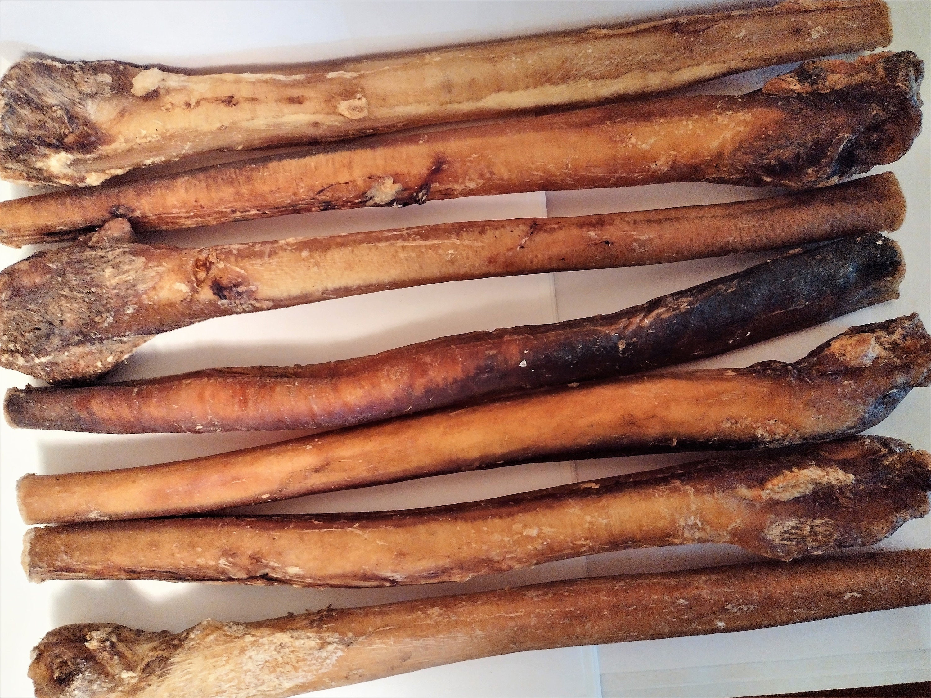 Zeus's 6"and 12" Jumbo Beef Bull Stick - Etsy