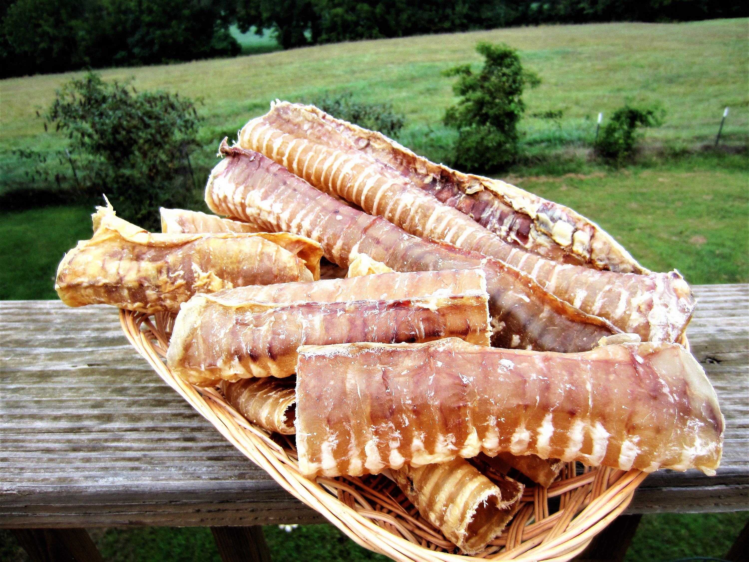Free Range BEEF TRACHEA CHEWS 6 Inch & 12 Inch - Etsy