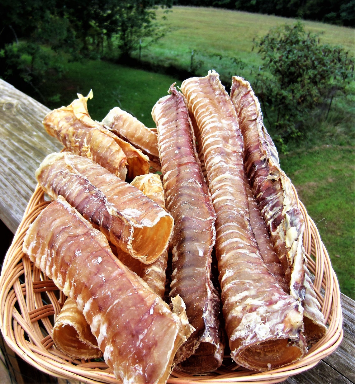 Free Range BEEF TRACHEA CHEWS 6 Inch & 12 Inch - Etsy