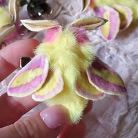 Rosy Maple Moth Costume Fantasy Wings Hand Painted - Etsy