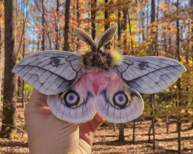 Handmade Automeris Frankae Moth Hair Clip Brooch Accessory Art - Etsy
