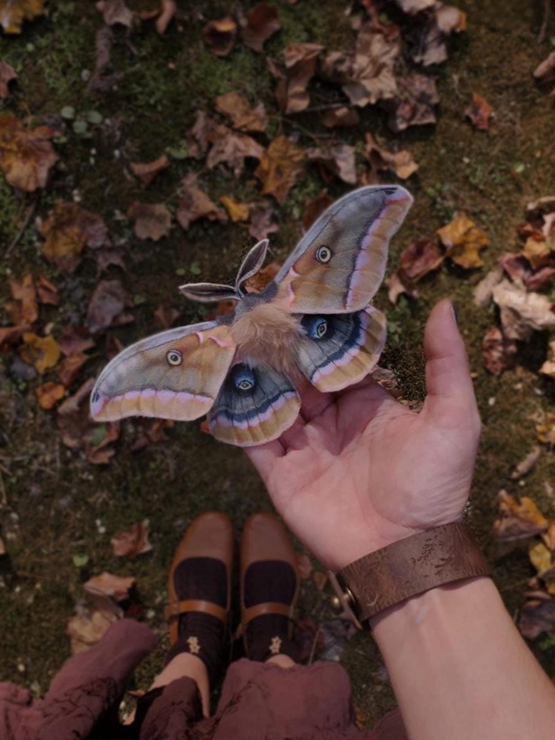 Handmade Polyphemus Moth Hair Clip Brooch Realistic - Etsy