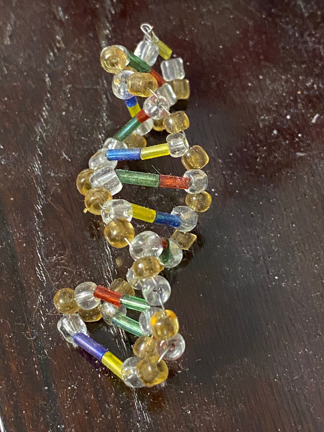 DNA Bead Model Kit - Etsy
