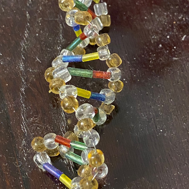 Dna - Etsy
