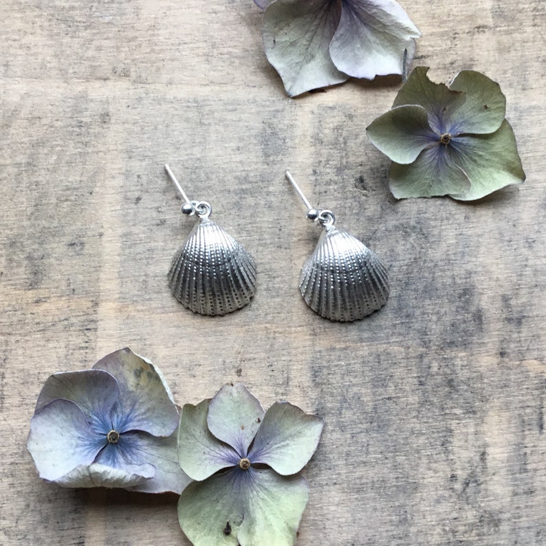 Sterling Silver Clam Shell Earrings Cockle Shell Earrings | Etsy Sterling Silver Clam Shell Earrings Cockle Shell Earrings | Etsy