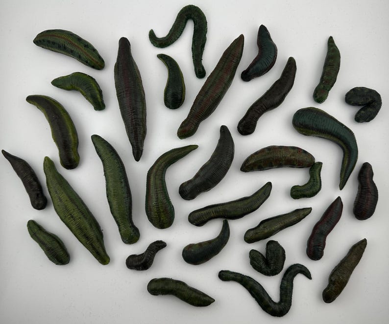 Realistic Silicone Leeches for Film, TV, Larping and Cosplay - Etsy