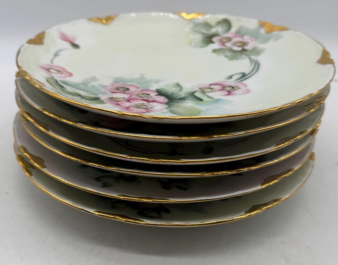 Antique M Z Austria Porcelain Plates, Set of 6, Hand Painted Florals ...